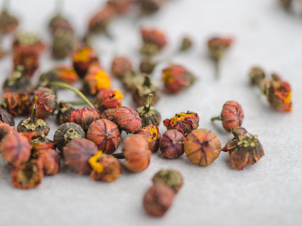 Gao Shan Ju Xue, 2024 – Tea Mail Poland